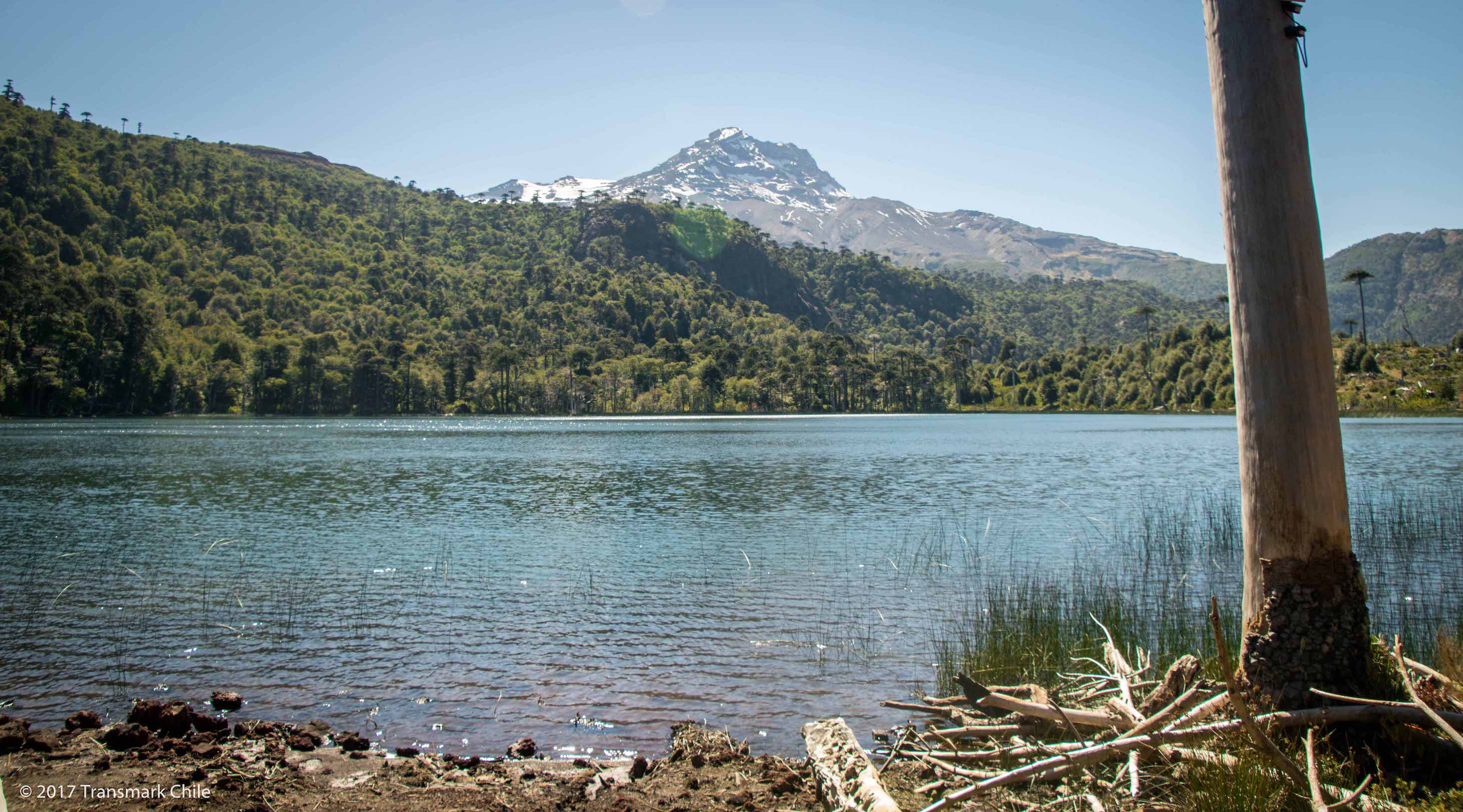 Transmark Chile awarded geothermal exploitation license on the Tolhuaca ...