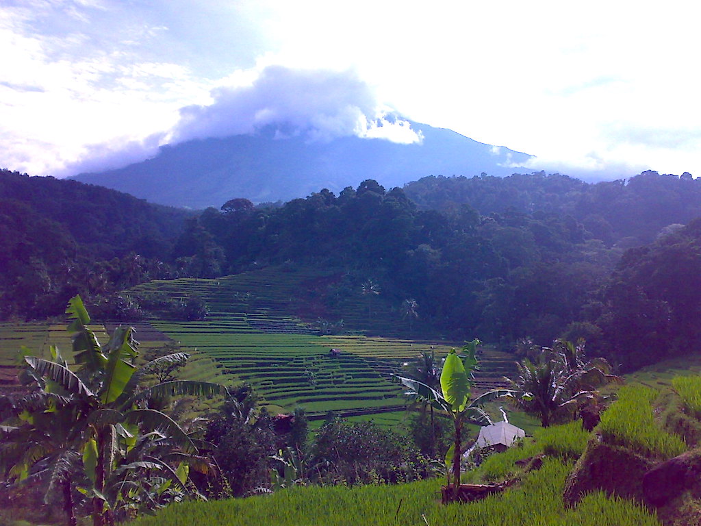 Four geothermal areas ready for development in West Java