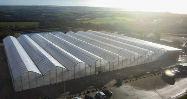 Beyond the Biomes – Eden Geothermal empowers agriculture and education ...